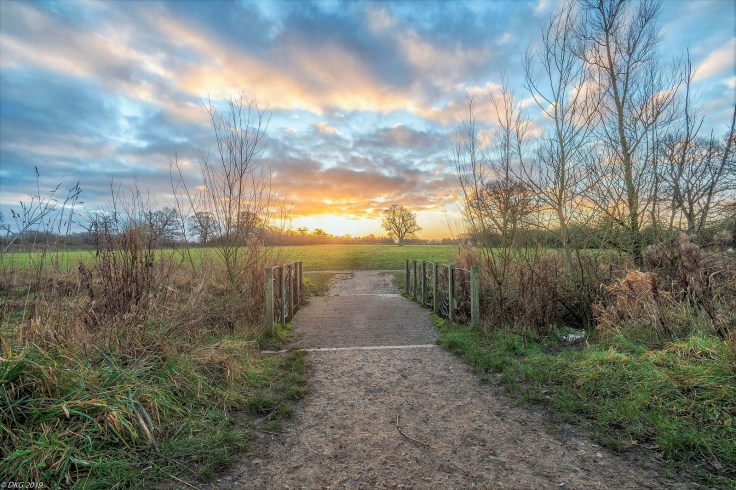 Sarah’s report to Southwick Village Newsletter – Southwick Country Park ...