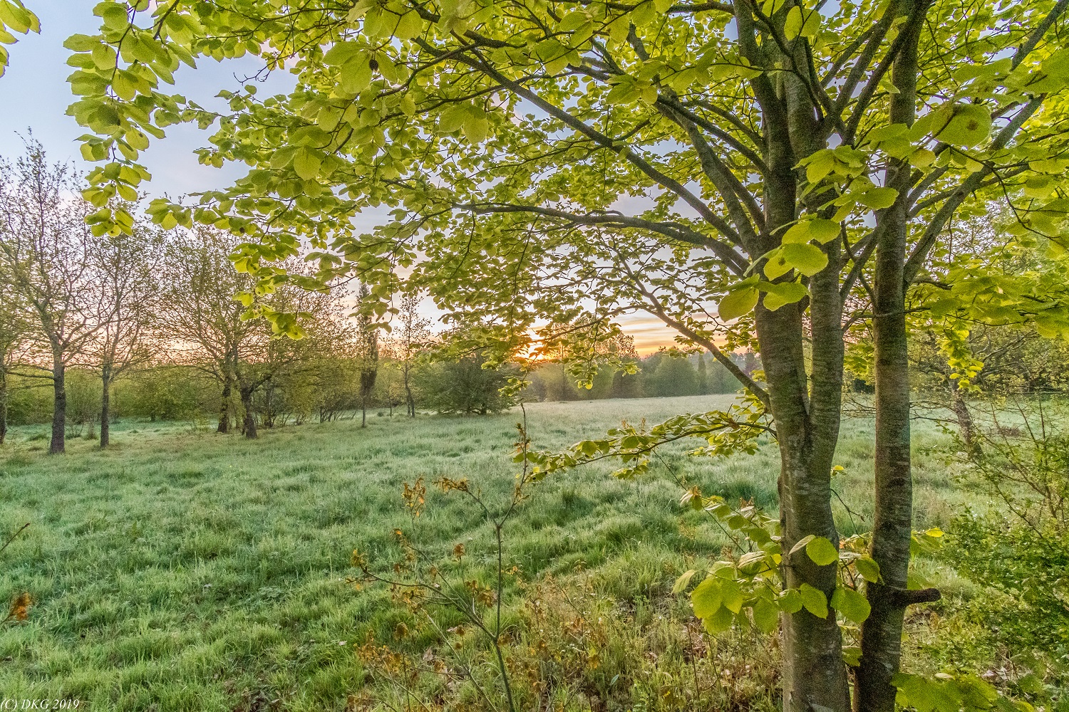 Walk in the park – Southwick Country Park Nature Reserve