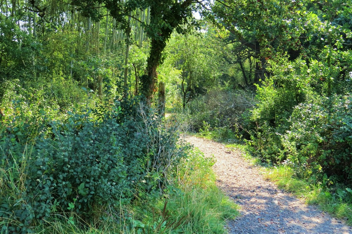The Reserve – Southwick Country Park Nature Reserve