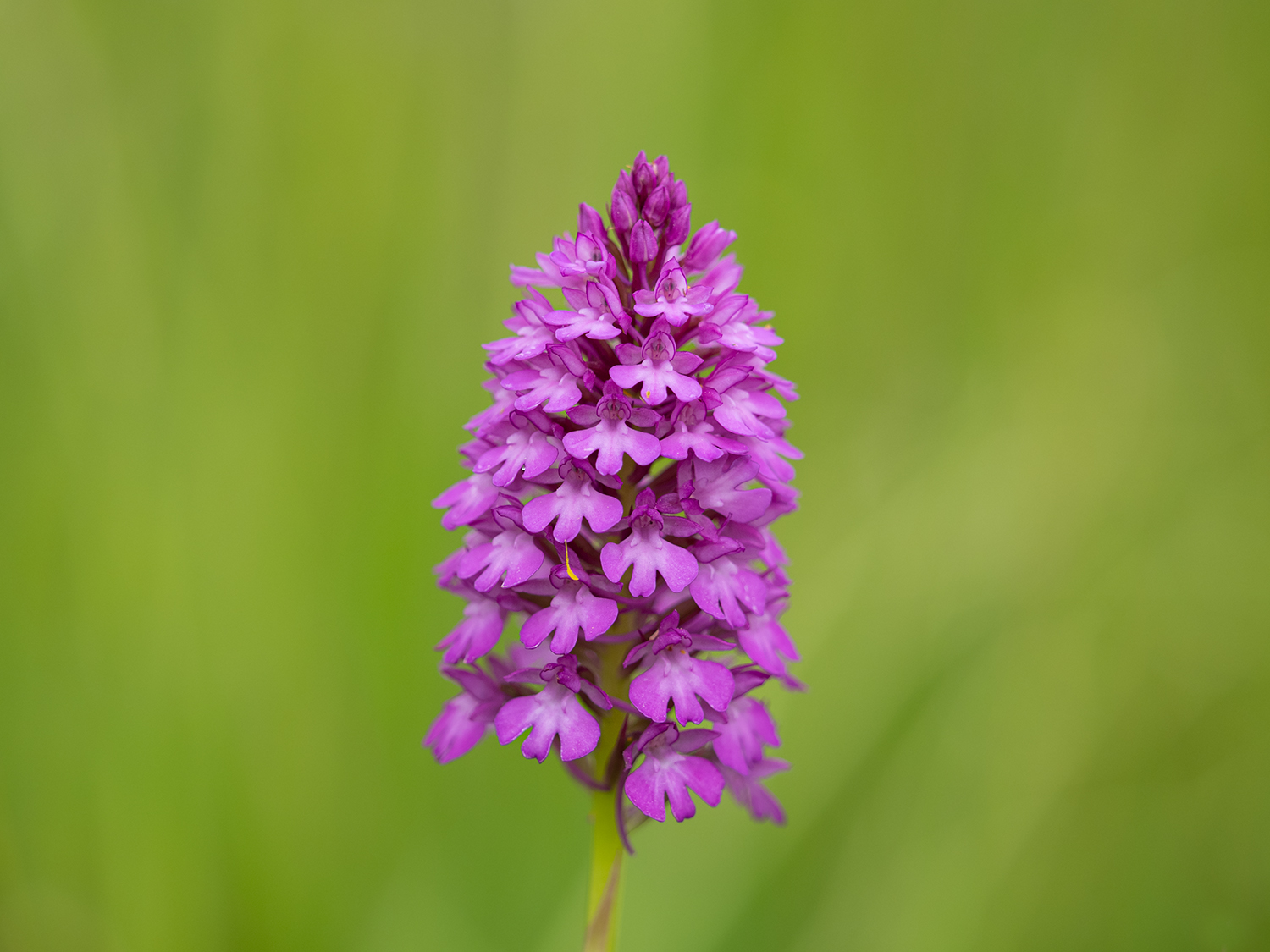 Maps – Southwick Country Park Nature Reserve