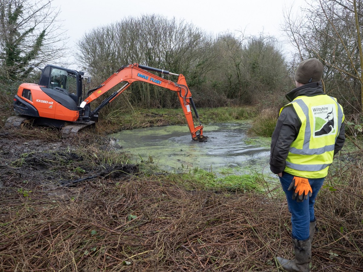 Great Crested Newt Pond – Southwick Country Park Nature Reserve
