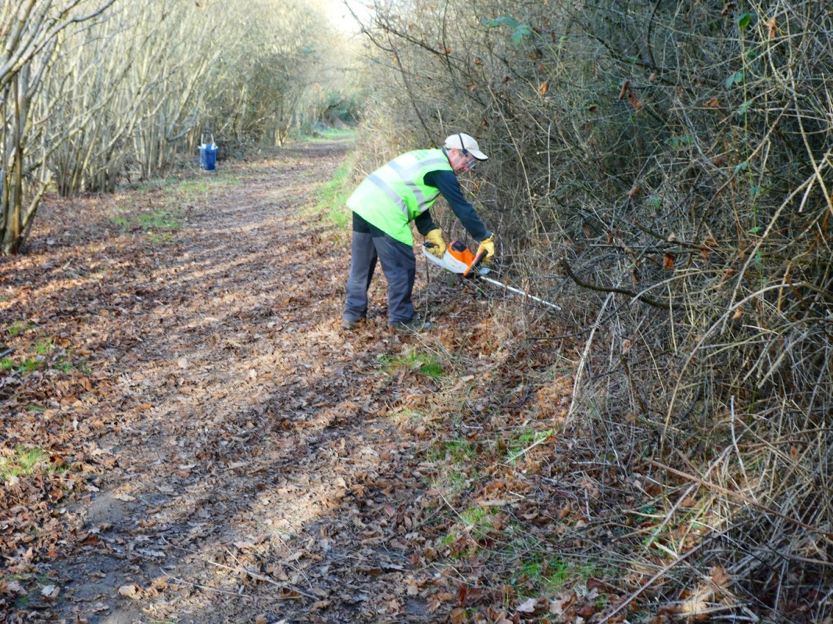 Southwick Country Park Nature Reserve
