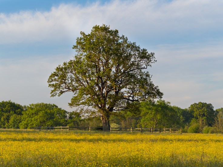 Southwick Country Park Nature Reserve